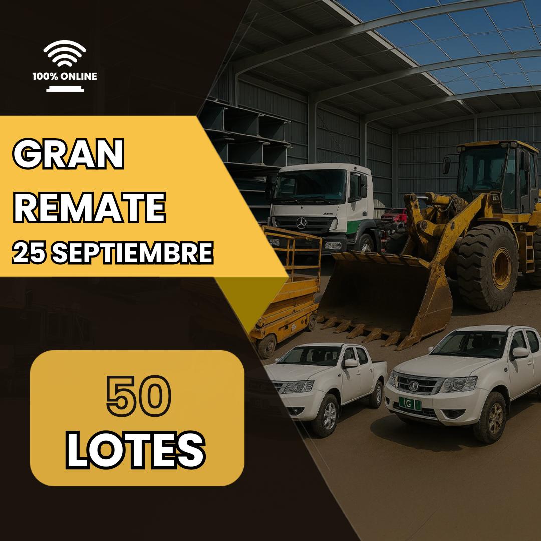 Remate San Isidro,remates maquinaria,camion,vehiculo,galpon